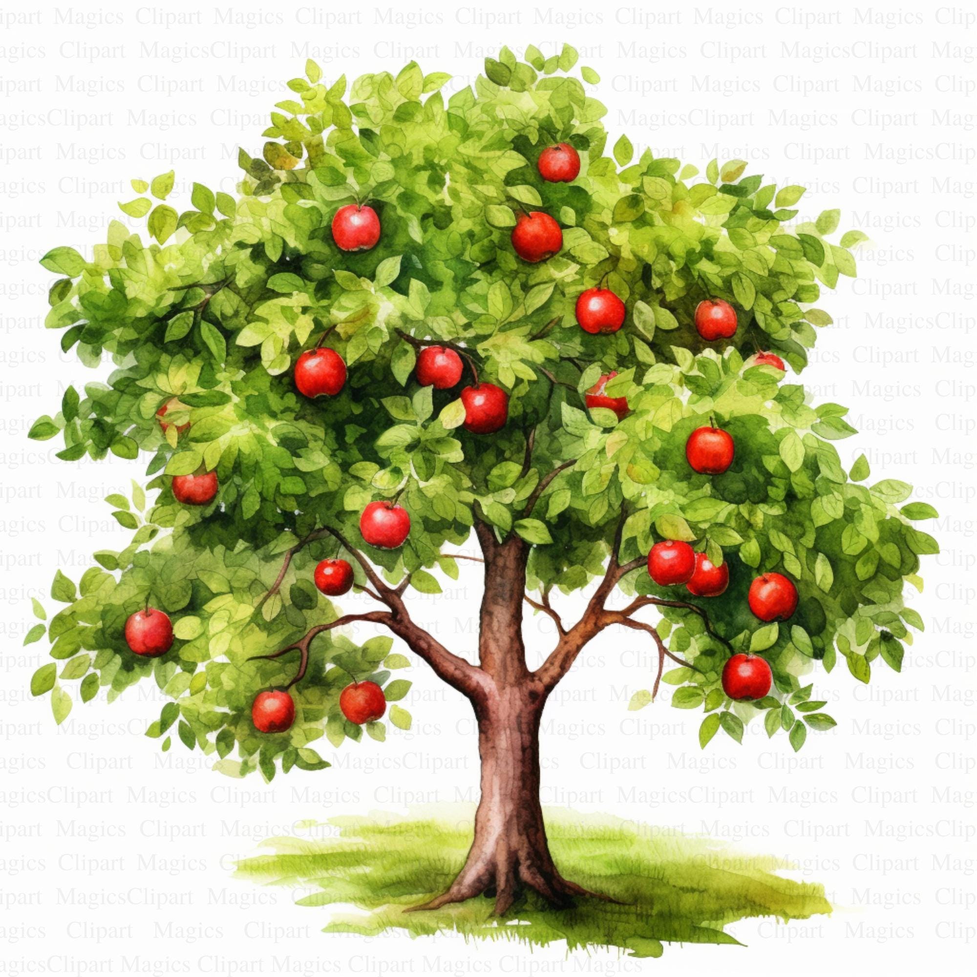 Apple Trees Clipart 5 High Quality Jpgs Digitaldownload Card Making ...