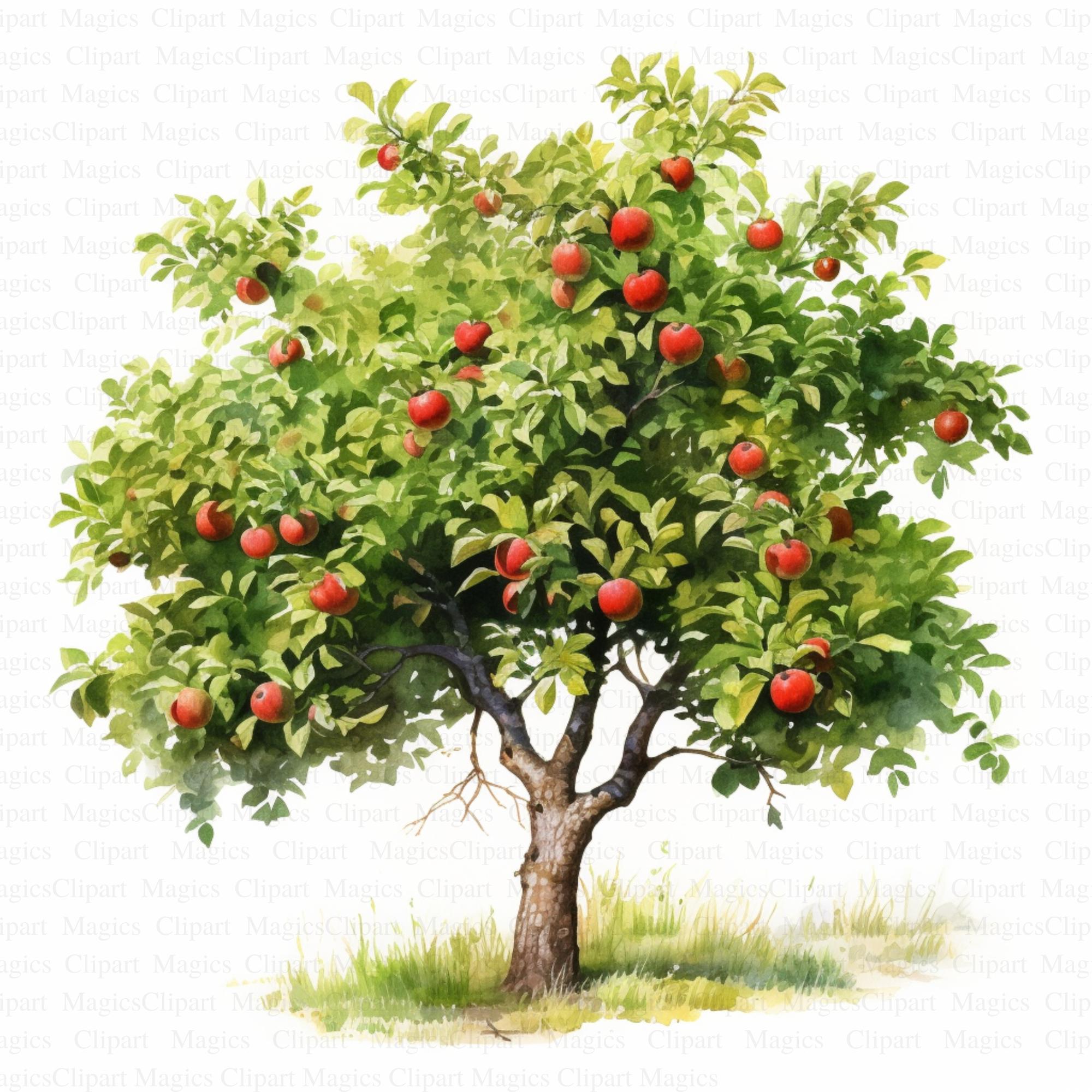 Apple Trees Clipart 5 High Quality Jpgs Digitaldownload Card Making ...