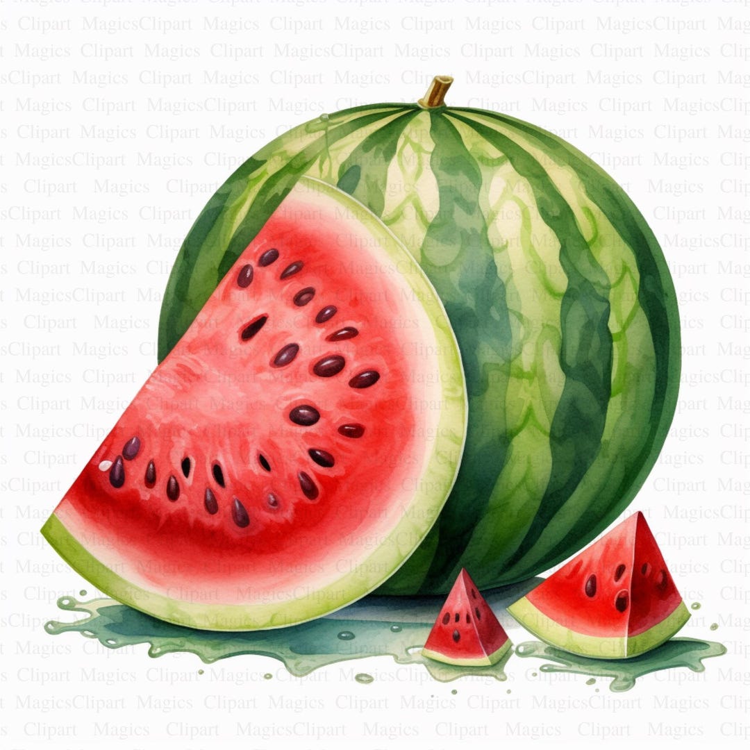 Watermelon Clipart 5 High Quality Jpgs Digital Download Digital Paper ...