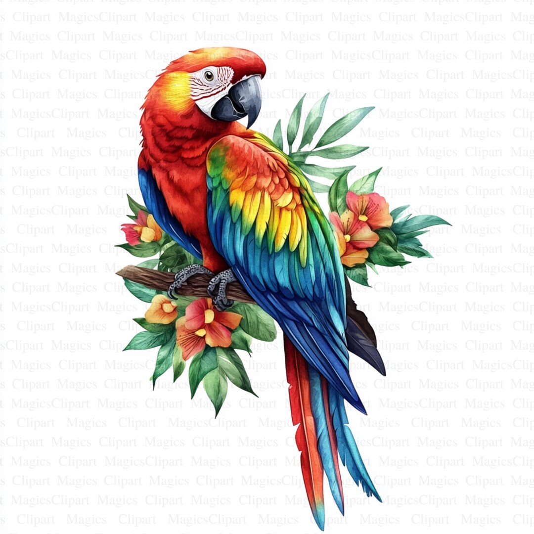 Colorful Parrot Clipart 5 High Quality Jpgs Digitaldownload Parrot ...