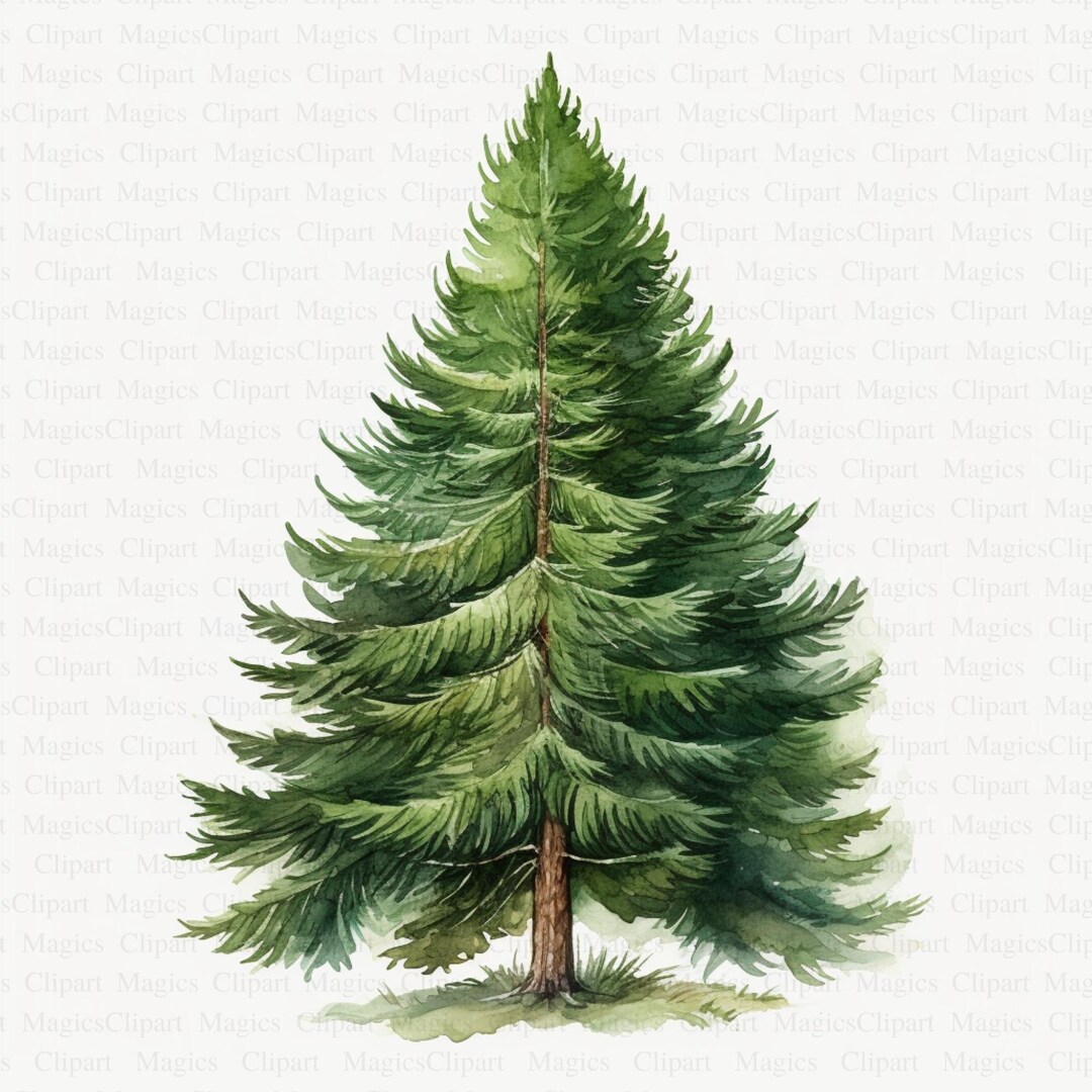Fir Trees Clipart 5 High Quality Jpgs Digitaldownload Card Making ...