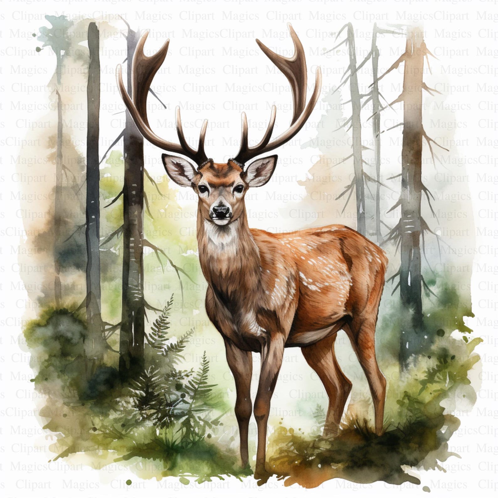 Deer in a Forest Clipart 5 High Quality Jpgs Instant Digital Download ...