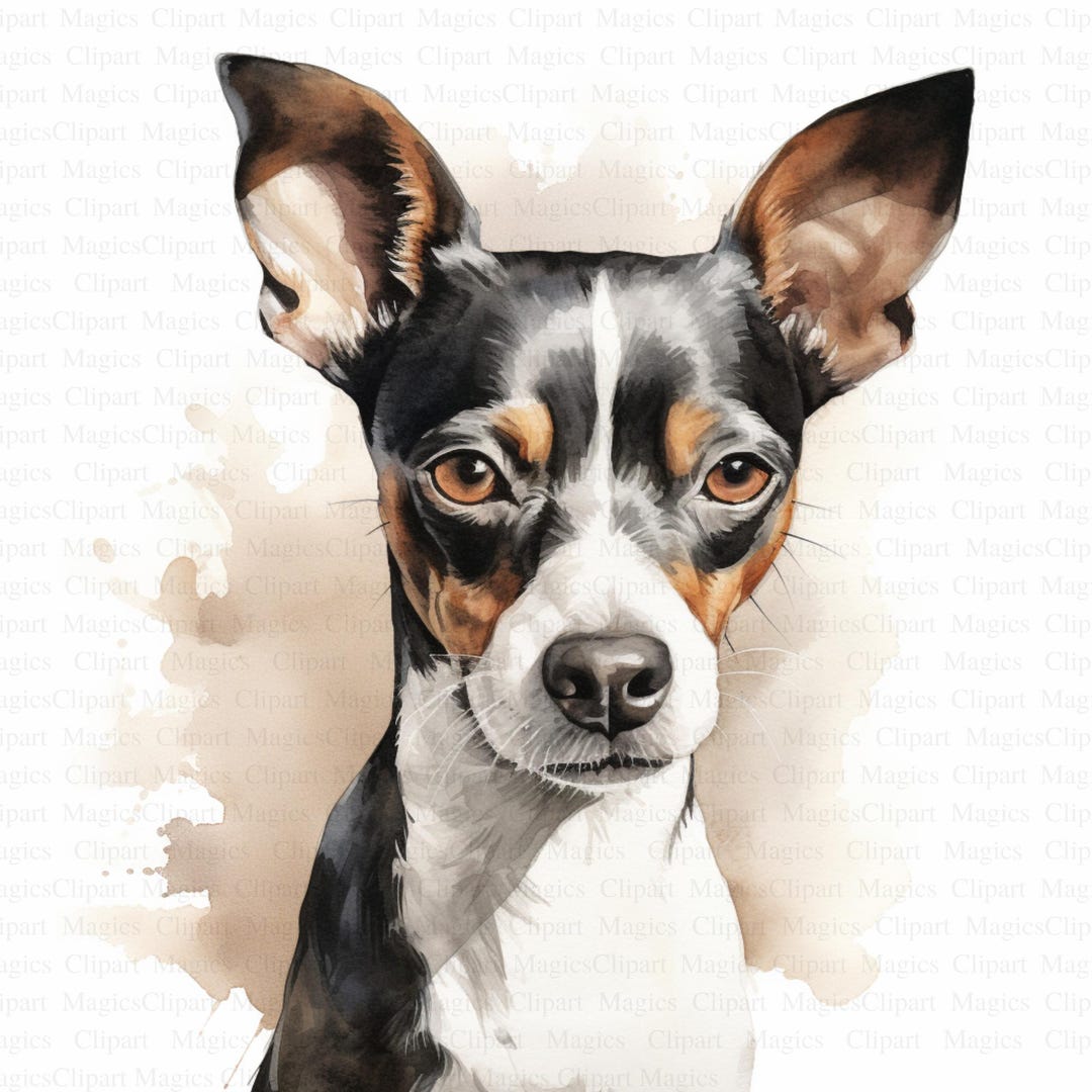 Rat Terrier Clipart 5 High Quality Jpgs Digitaldownload Card Making ...