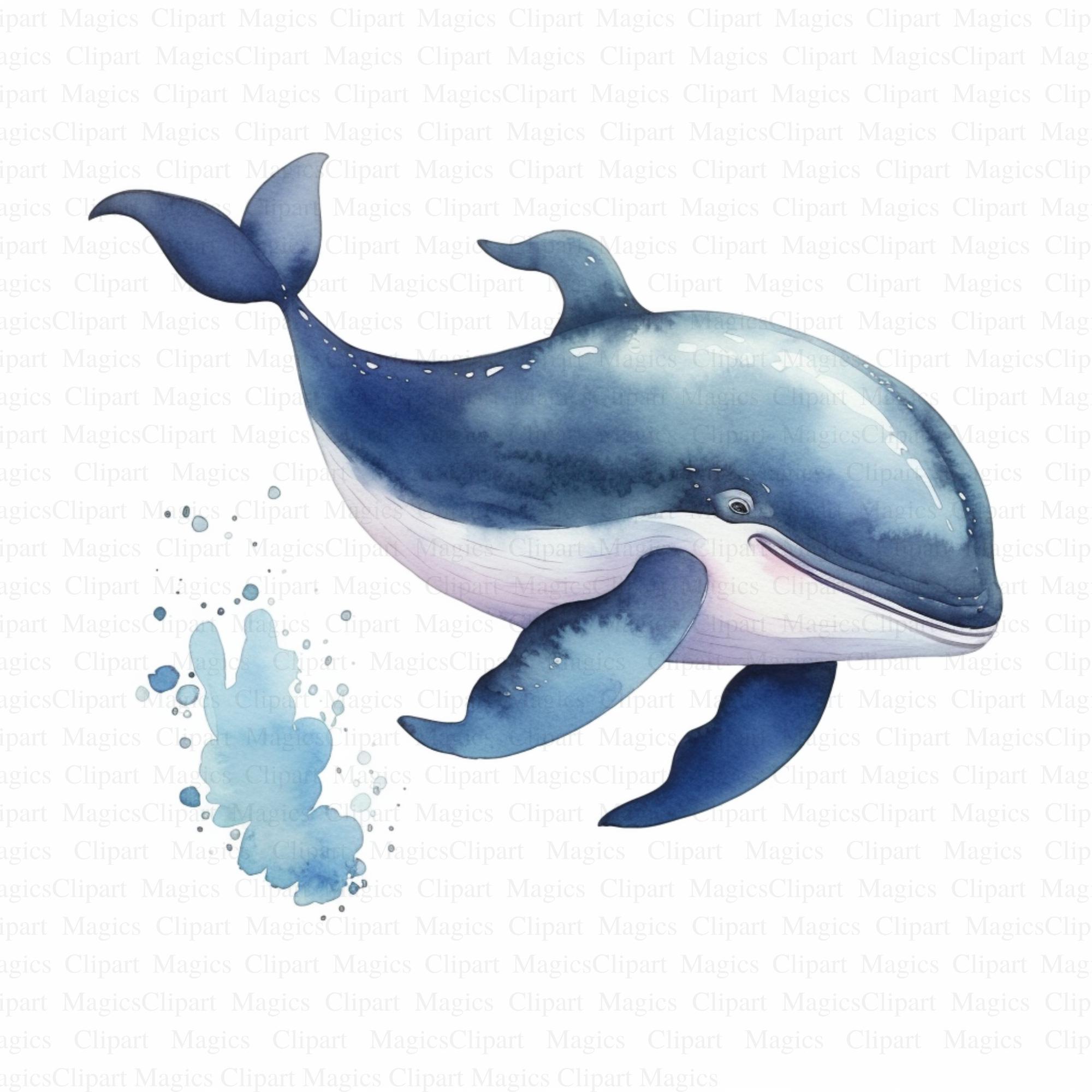 Cartoon Whale Clipart 5 High Quality Jpgs Digital Download Newspaper ...