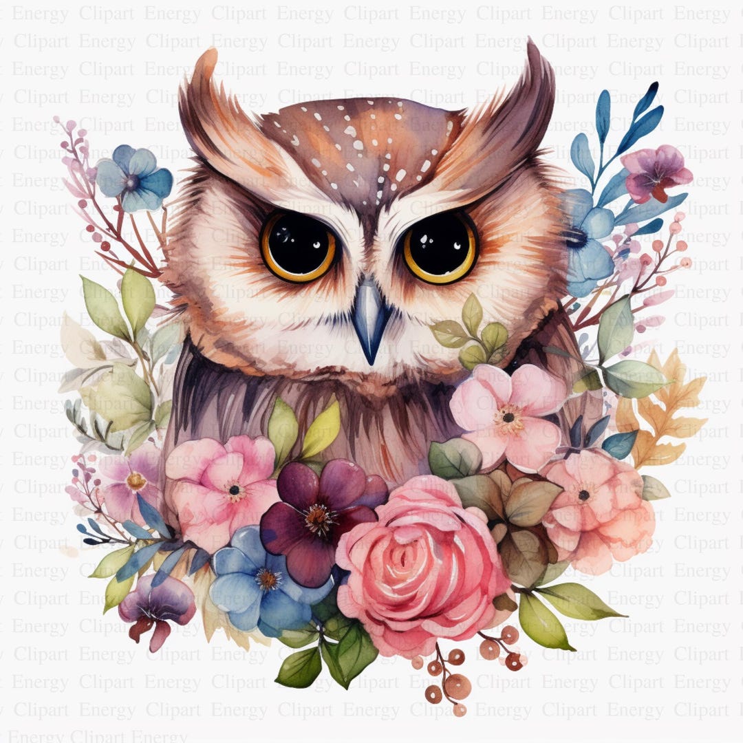 Floral Owls Clipart 5 High Quality Jpgs Instant Digital Download ...
