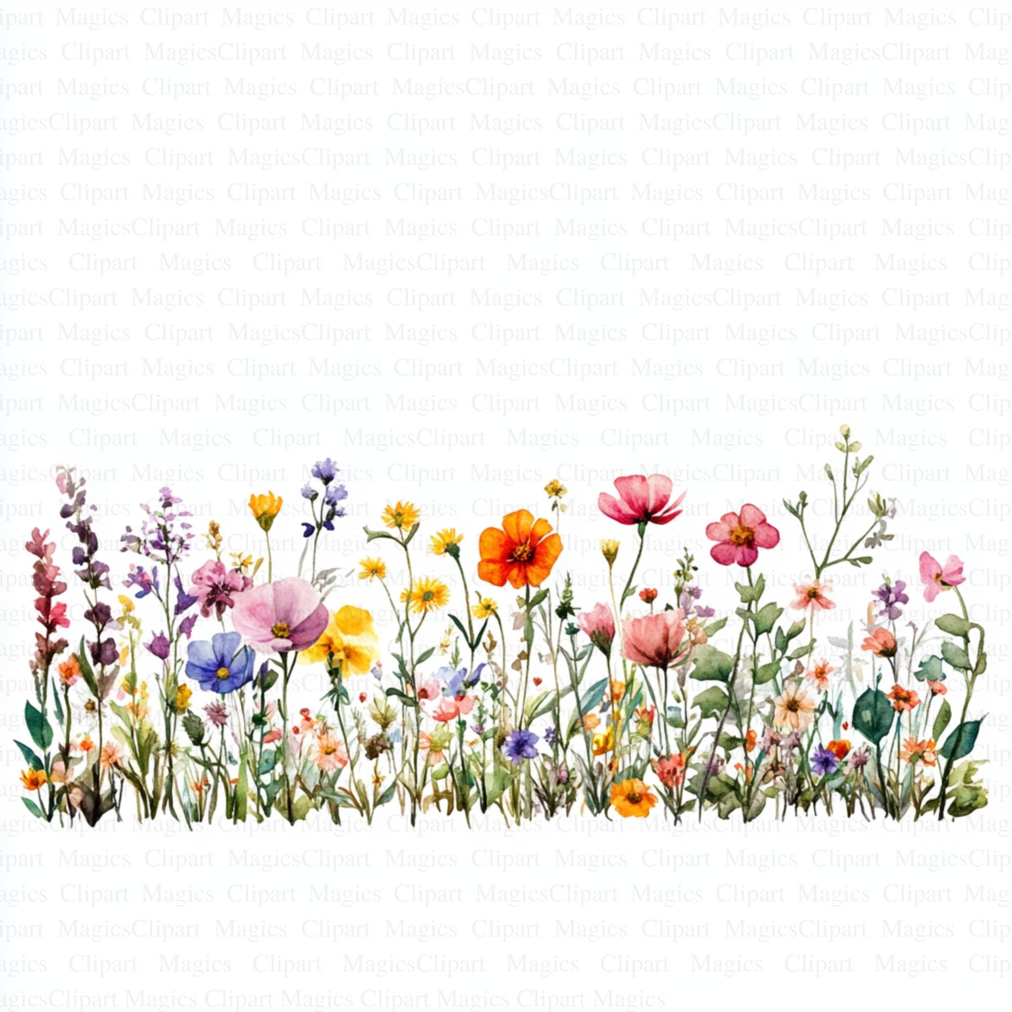 Wildflowers Border Clipart | 5 High Quality Jpgs | Digital Download ...