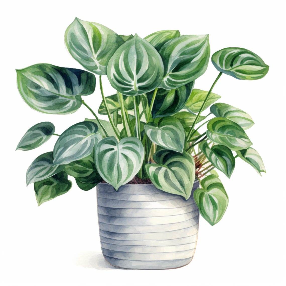 Houseplant Clipart 5 High Quality Jpgs Digitaldownload Scrapbooking ...