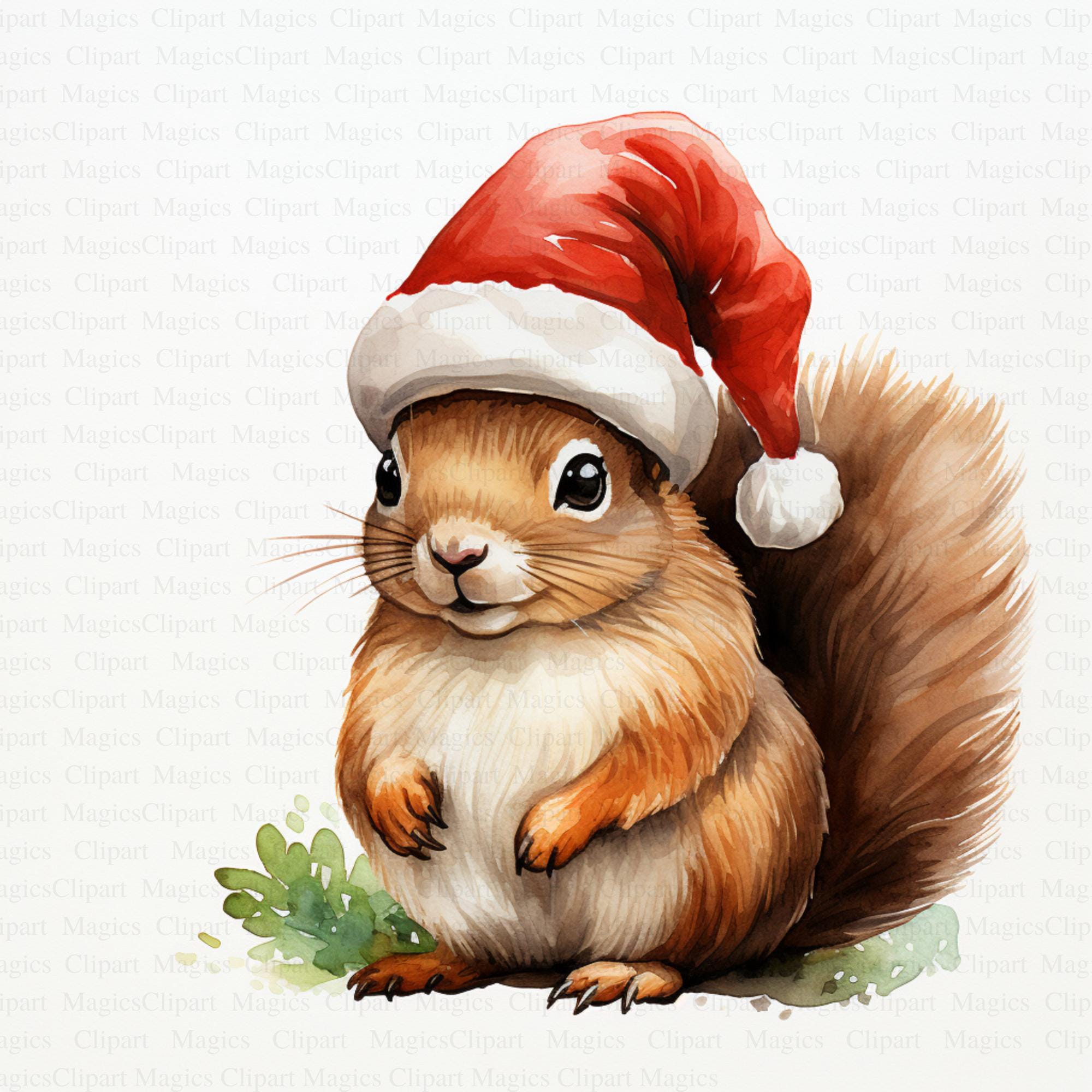 Squirrel Christmas Hat Clipart 5 High Quality Jpgs Digitaldownload ...