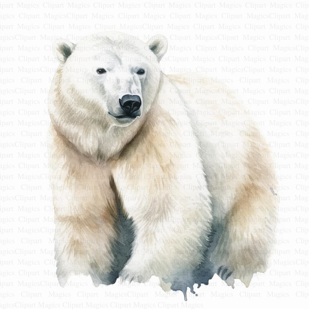Polar Bear Clipart 5 High Quality Jpgs Digitaldownload Polar Bear Print ...