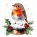 Watercolor Christmas Robin Clipart | Holiday Scrapbooking (digital ...