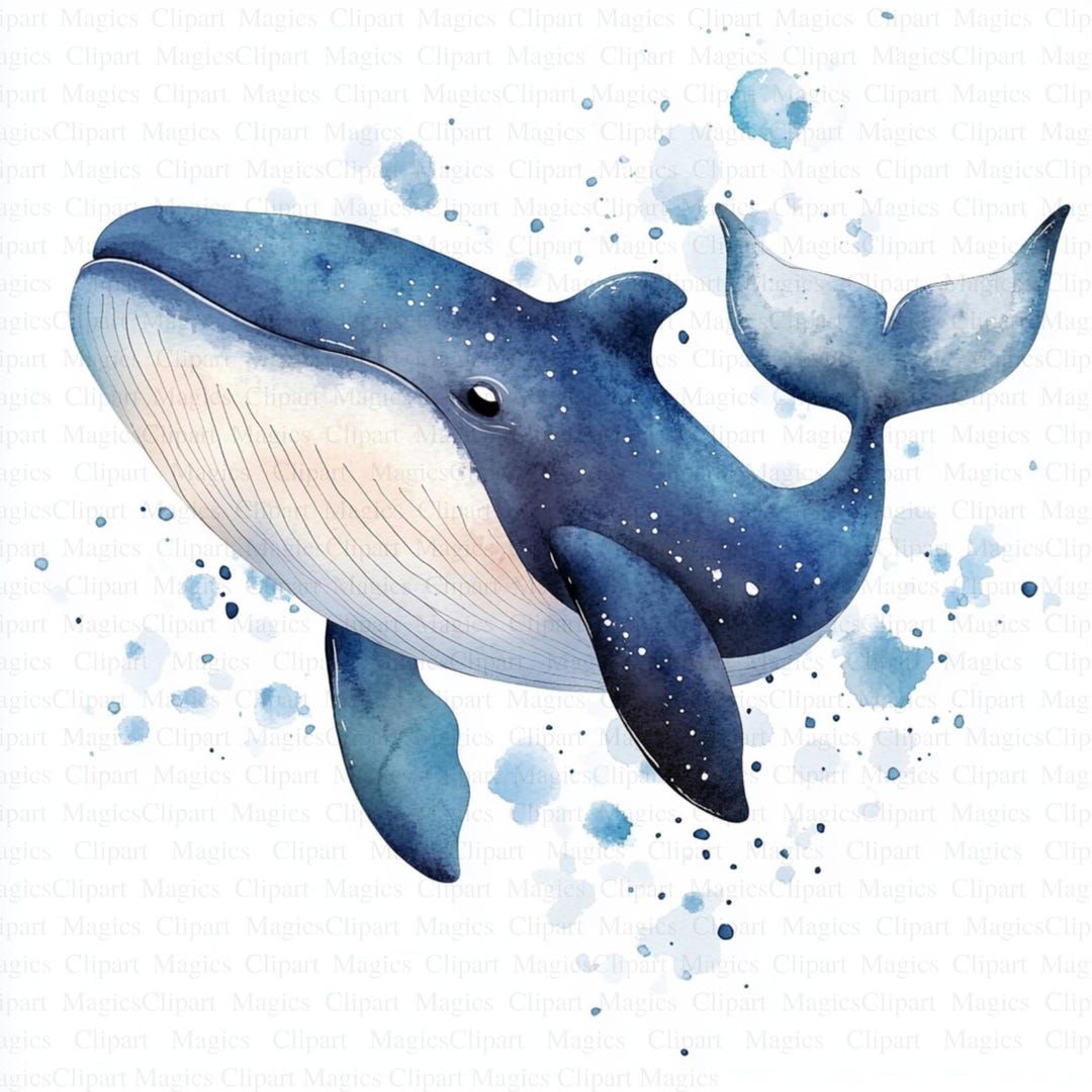 Cartoon Whale Clipart 5 High Quality Jpgs Digital Download Newspaper ...