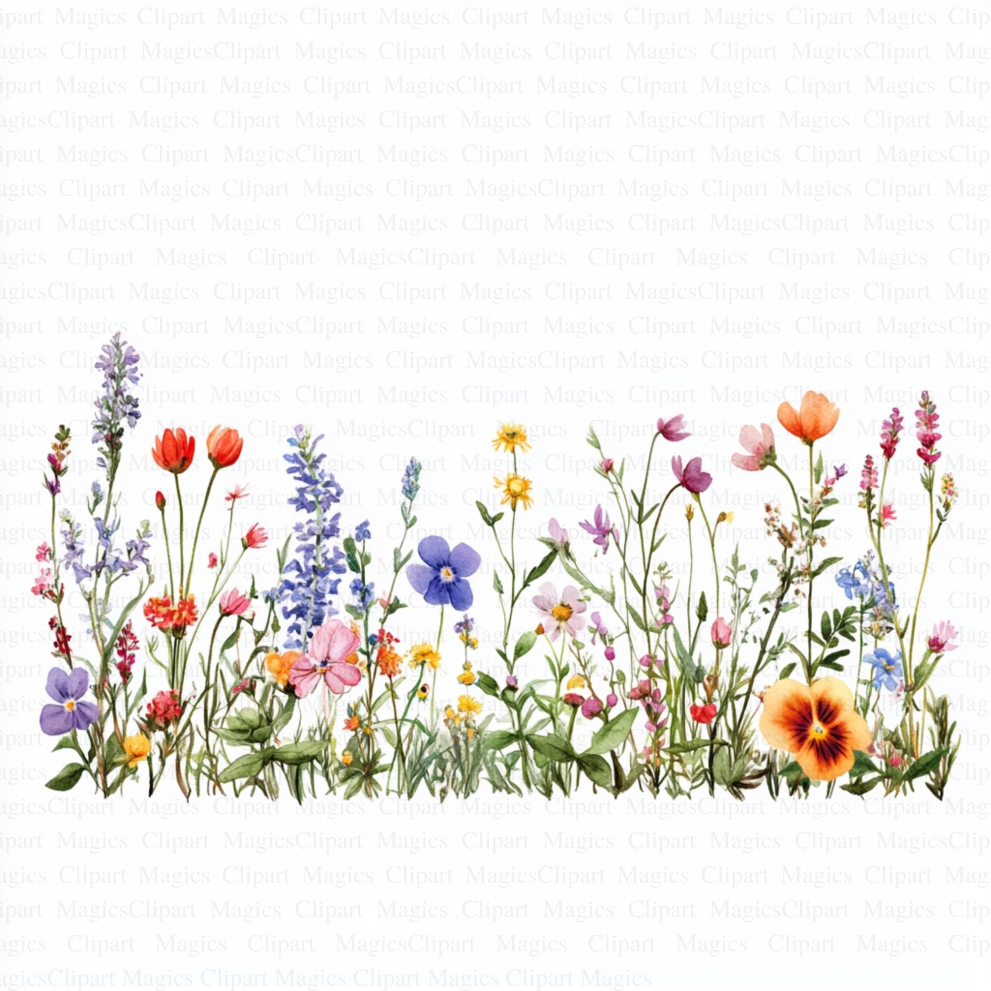 Wildflowers Border Clipart | 5 High Quality Jpgs | Digital Download ...