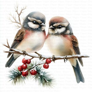 Various Christmas Birds Clipart Robin 5 High Quality Jpgs Digital ...