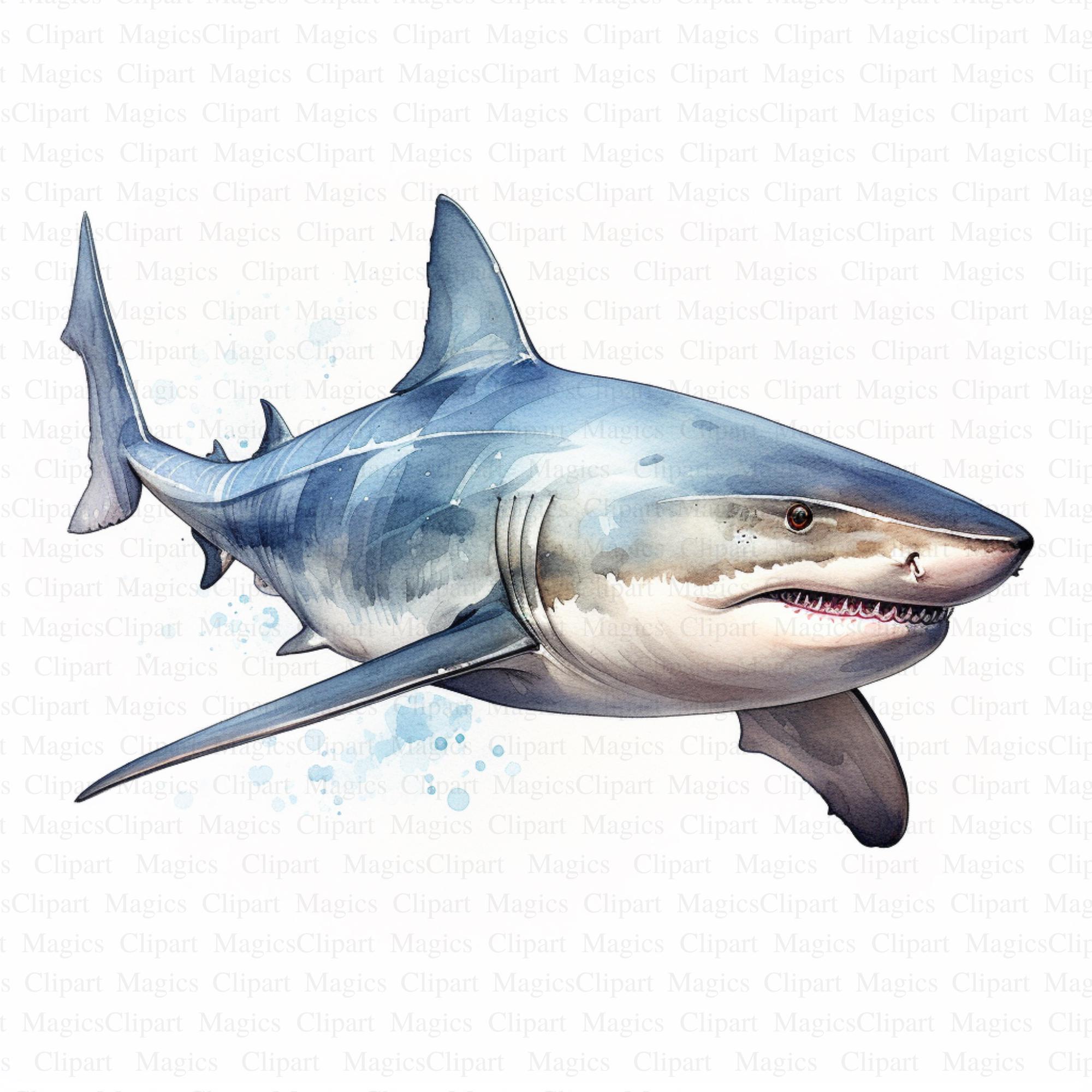Shark Clipart | 5 High Quality Jpgs | Nursery Art | Instant Digital ...