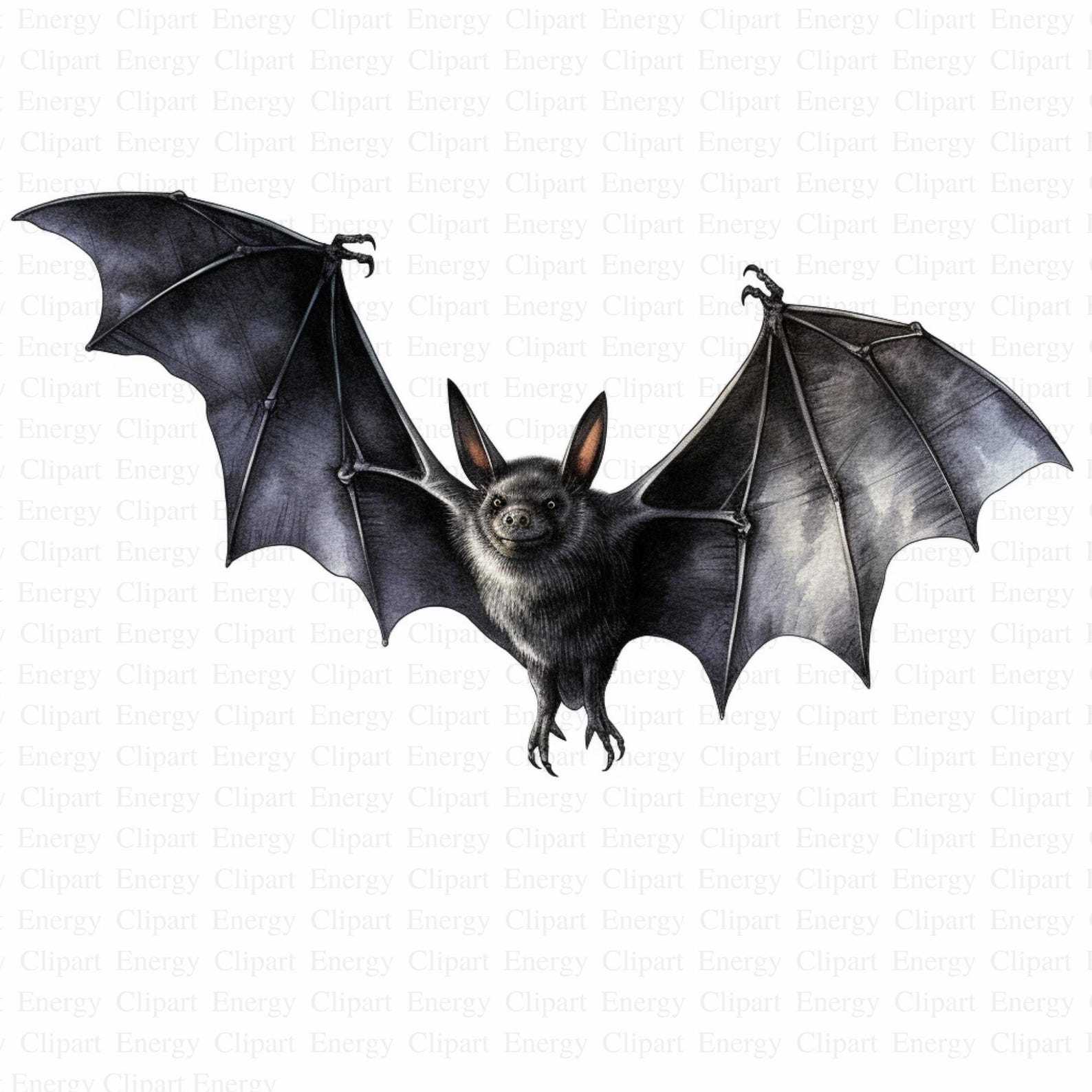 Bat Clipart 5 High Quality Jpgs Instant Digital Download Bat Artwork ...