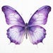 Purple Butterflies Clipart | 5 High Quality Jpgs | Digital Download ...
