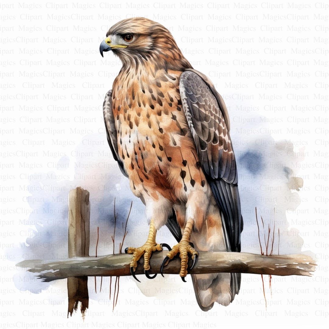 Buzzard on Fence Clipart 5 High Quality Jpgs Digitaldownload Card ...