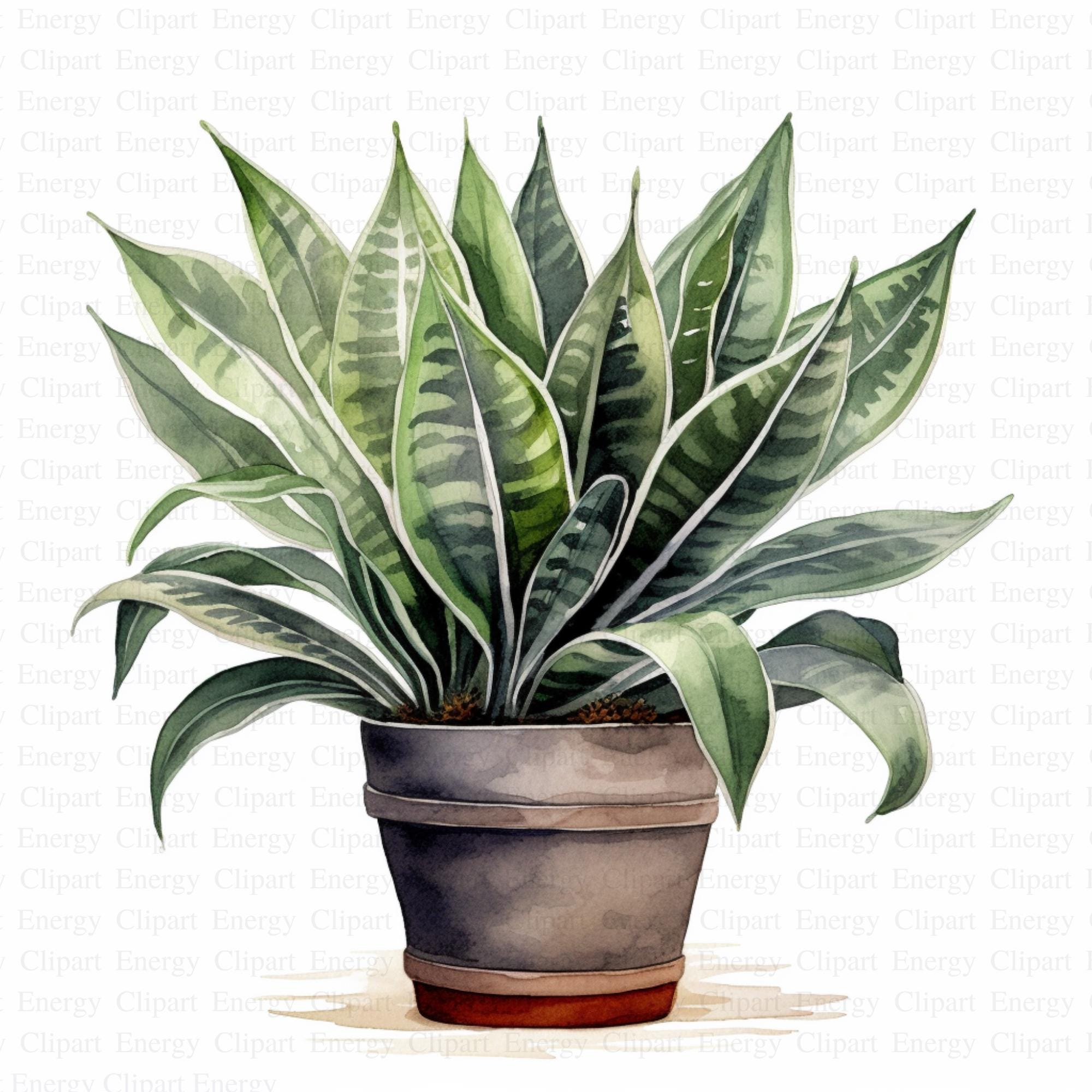 Plant Pot Clipart 5 High Quality Jpgs Digitaldownload Potted Plants ...