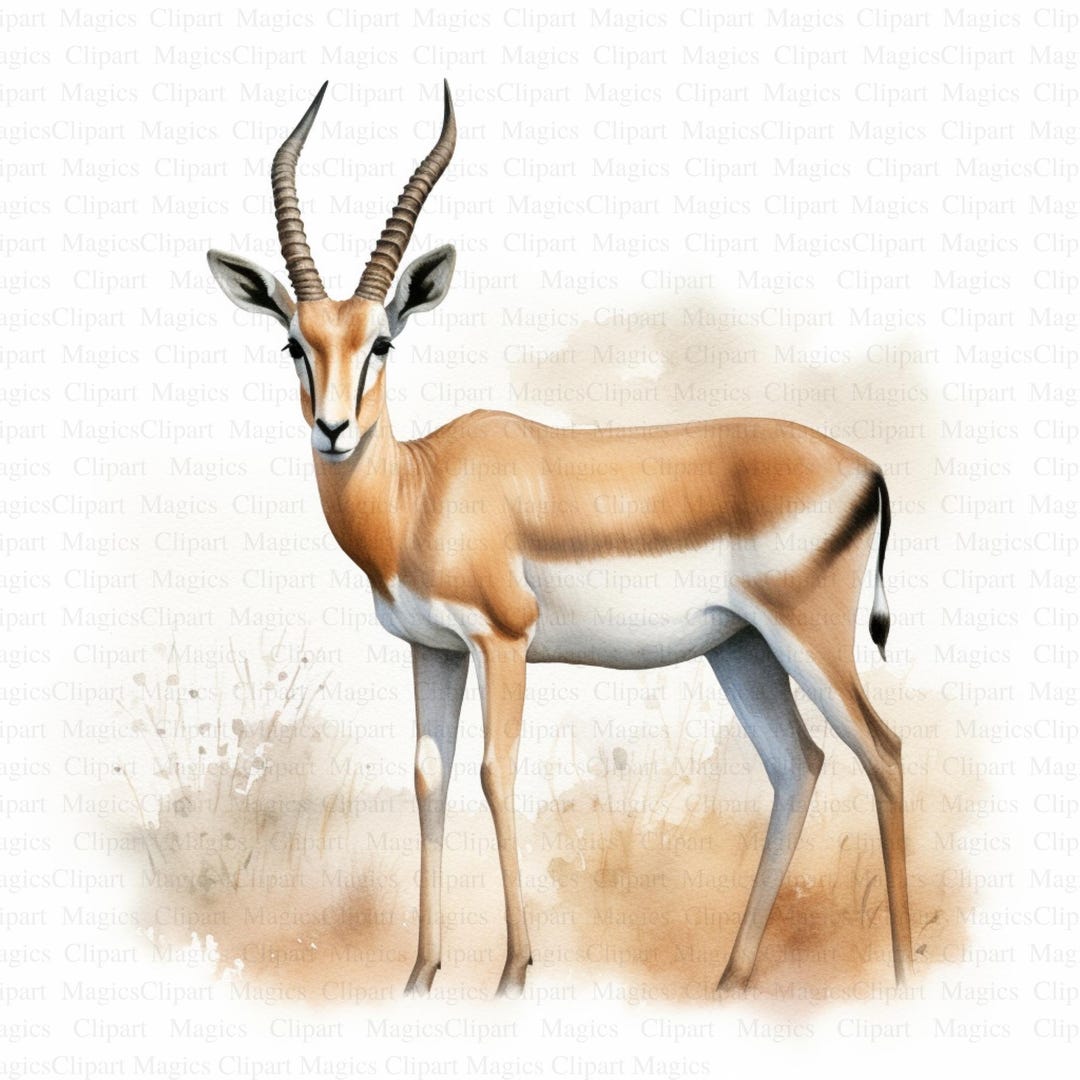 Grant's Gazelle Clipart 6 High Quality Jpgs Instant Digital Download ...