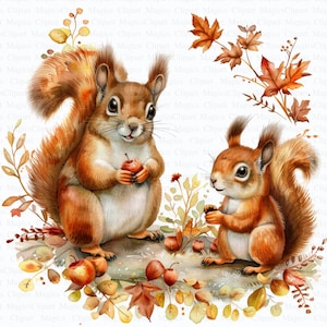 Watercolor Squirrels Clipart 5 High Quality Jpgs Digitaldownload Card ...