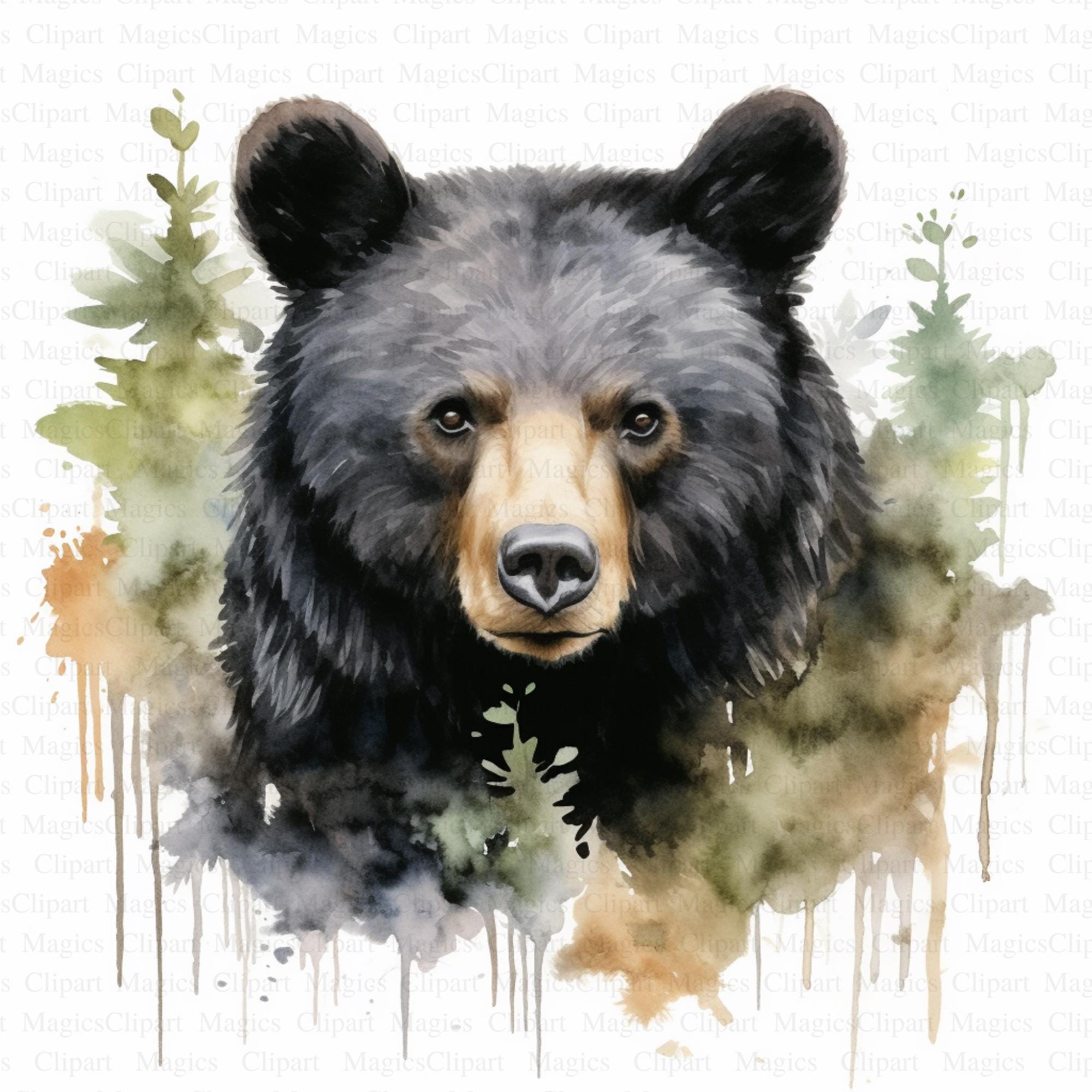 Watercolor Black Bear Clipart 5 High Quality Jpgs Instant Digital ...