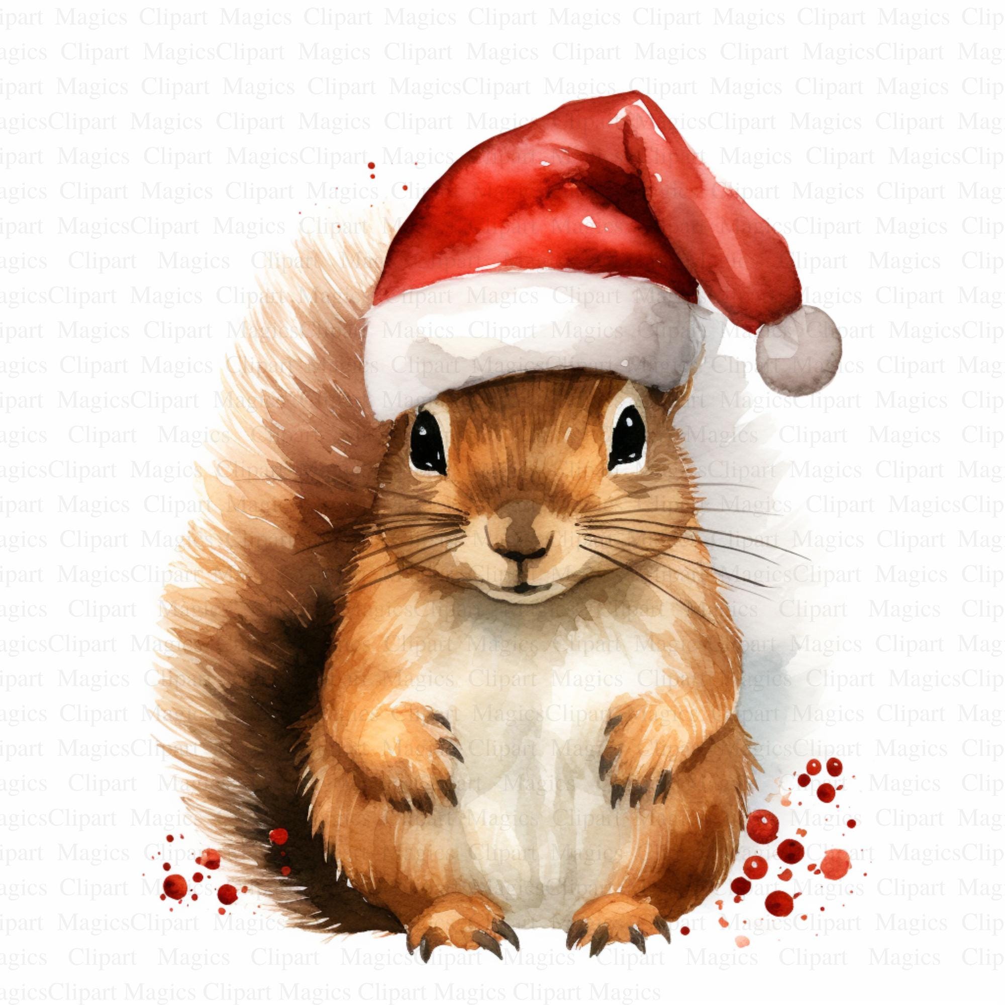 Squirrel Christmas Hat Clipart 5 High Quality Jpgs Digitaldownload ...