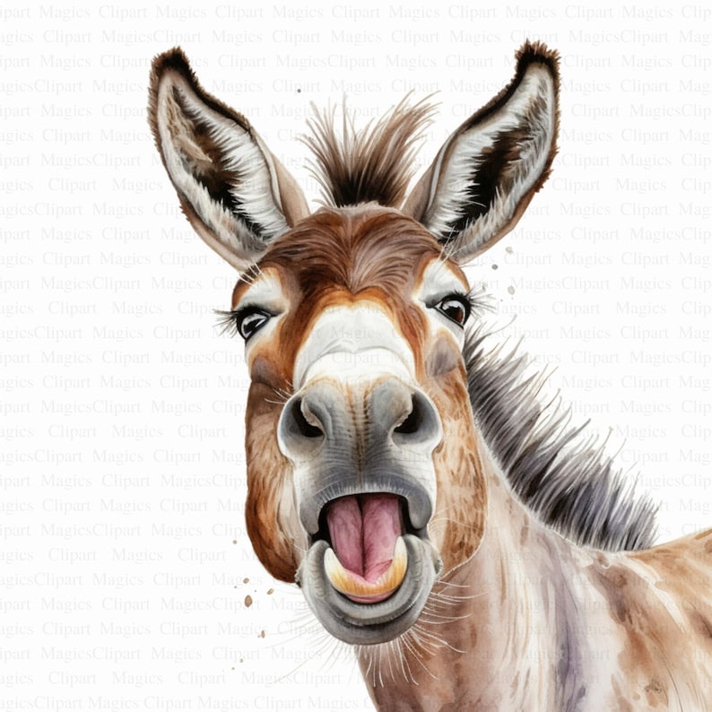 Funny Donkey Clipart | 5 High Quality Jpgs | Digital Download ...