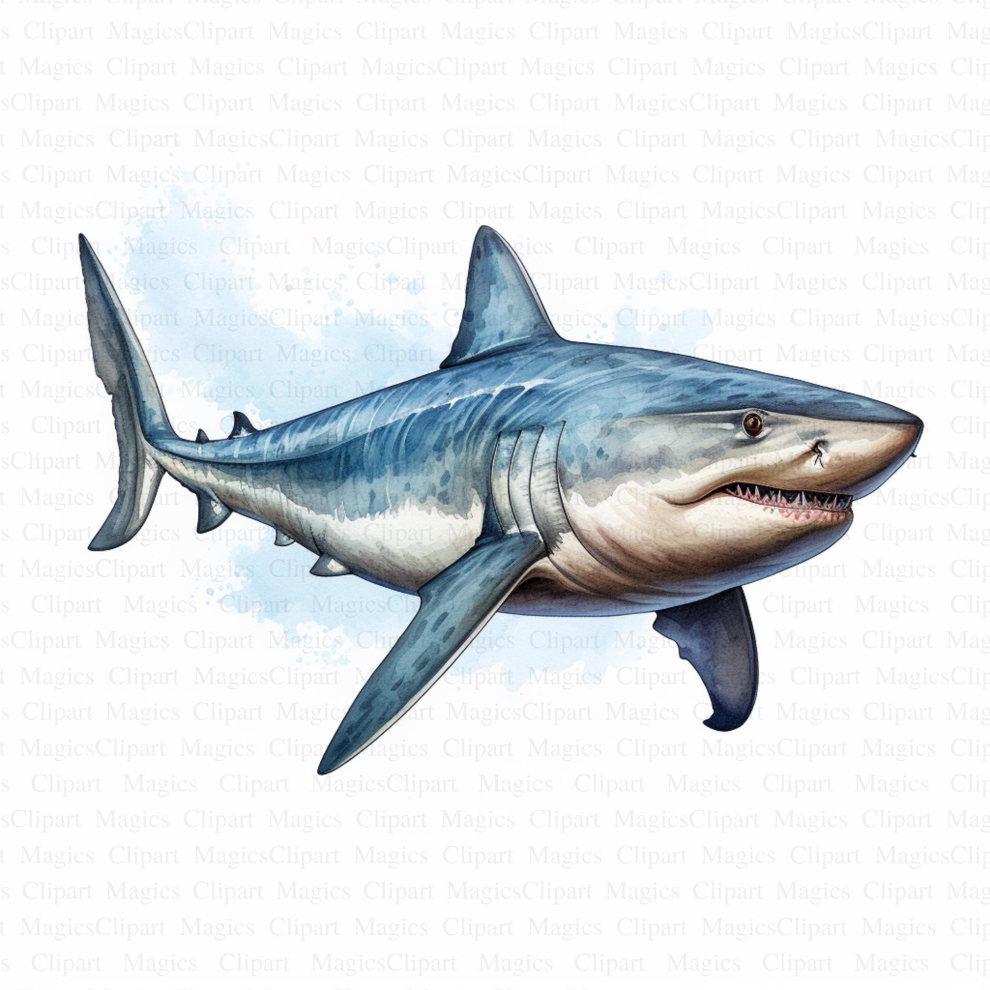 Shark Clipart | 5 High Quality Jpgs | Nursery Art | Instant Digital ...