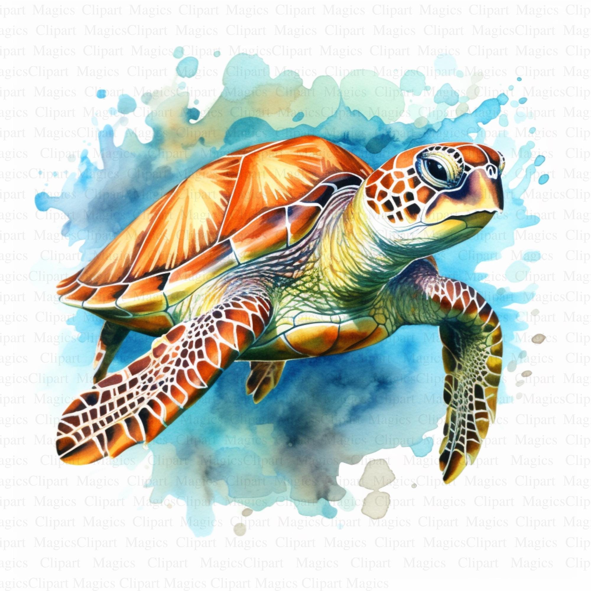 Sea Turtle Clipart 5 High Quality Jpgs Digitaldownload Turtle Vector ...