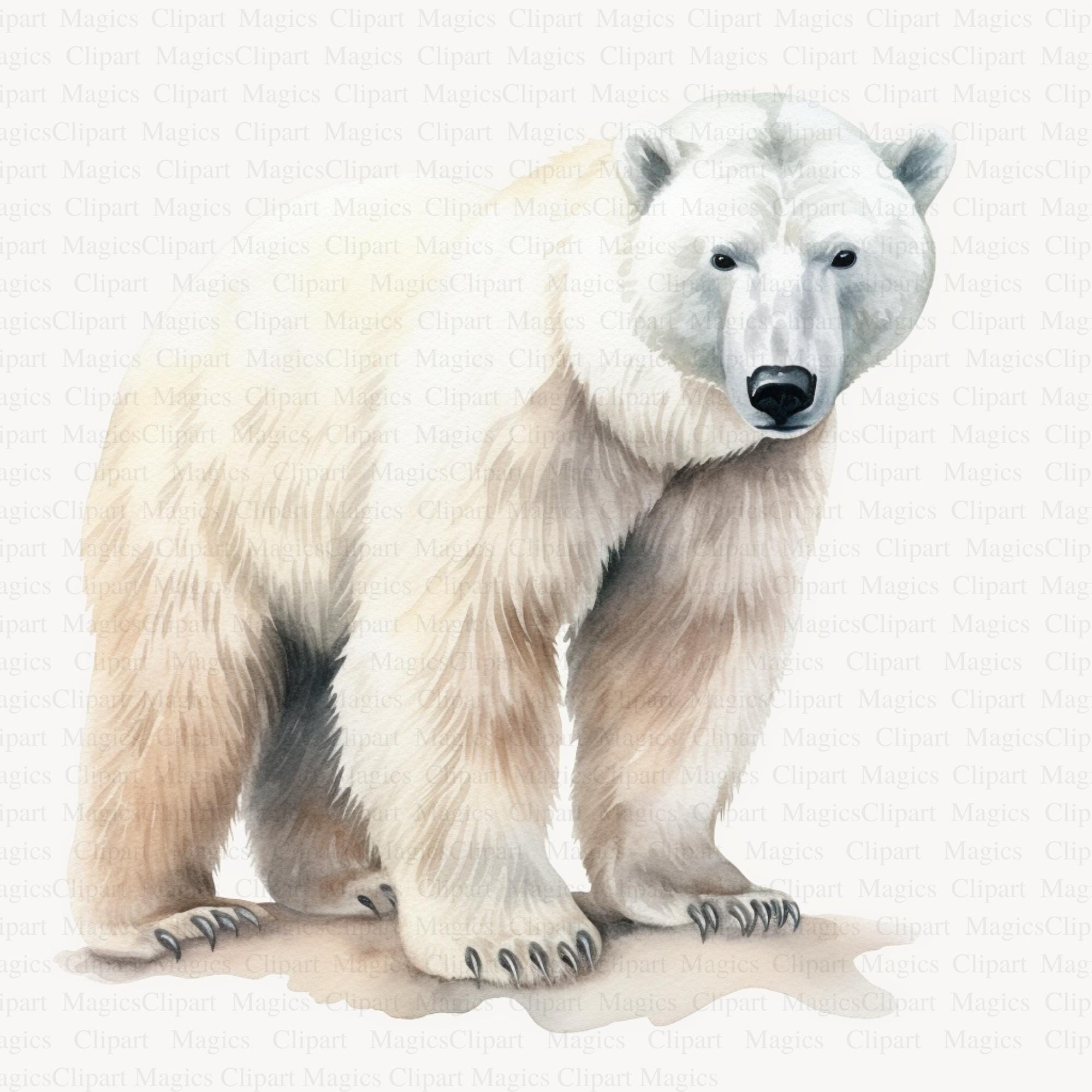 Polar Bear Clipart 5 High Quality Jpgs Digitaldownload Polar Bear Print ...