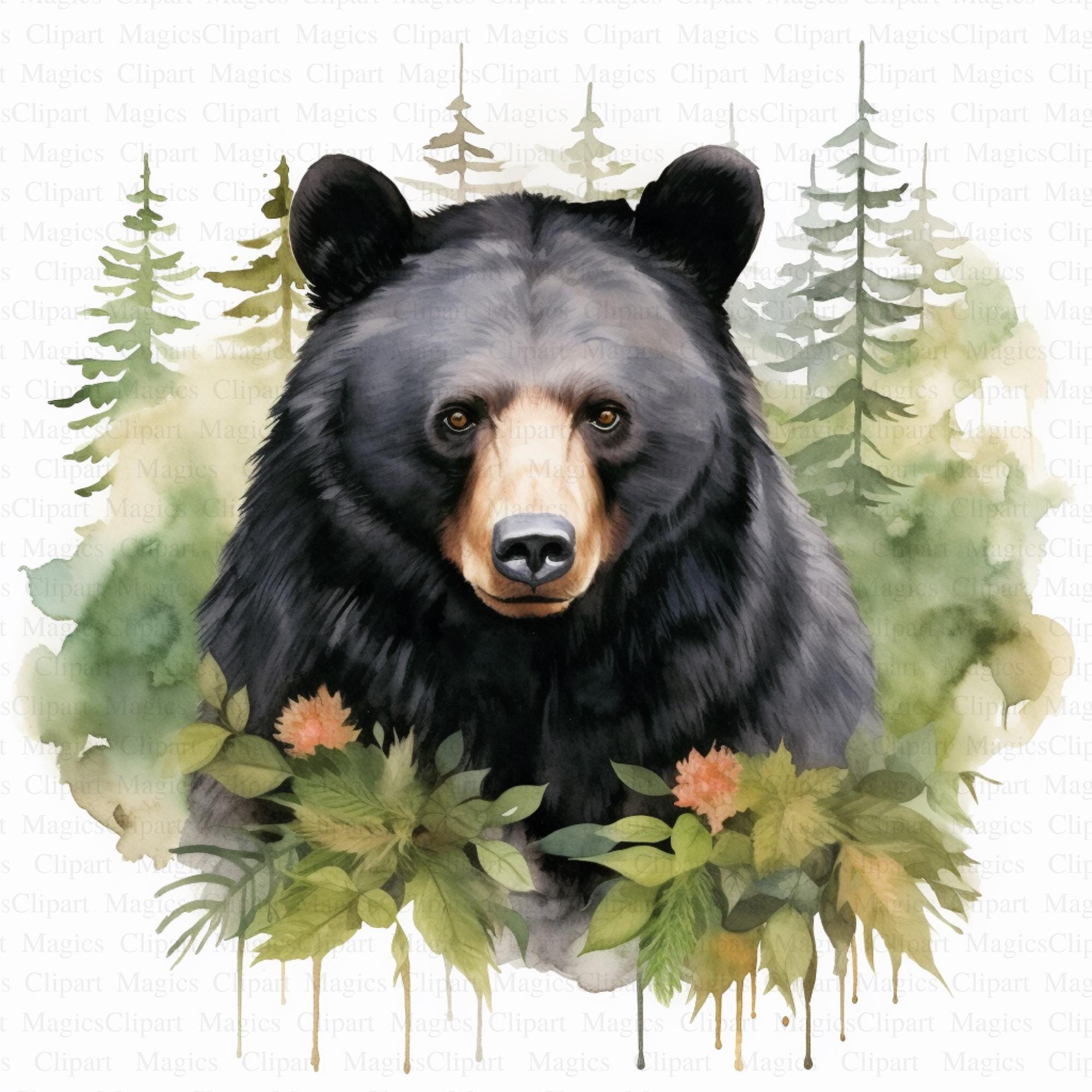Watercolor Black Bear Clipart 5 High Quality Jpgs Instant Digital ...