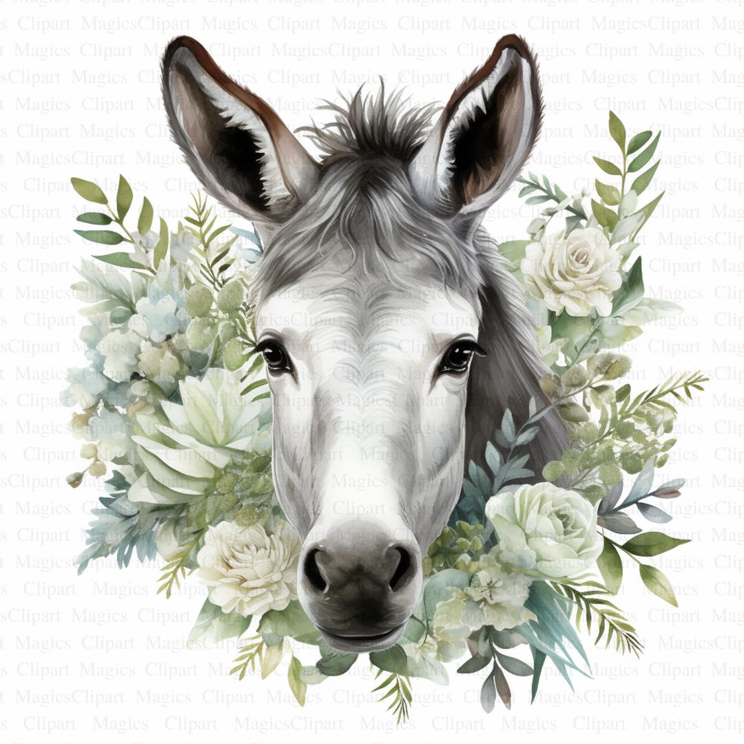 Watercolor Floral Donkeys Clipart | Nursery Art (digital Download) - Etsy
