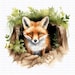 Fox Den Clipart | Watercolor Animal Illustration (digital Download) - Etsy