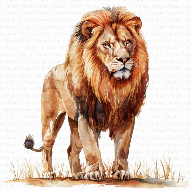 Lion Clipart | 5 High Quality Jpgs | Digital Download | Card Making ...