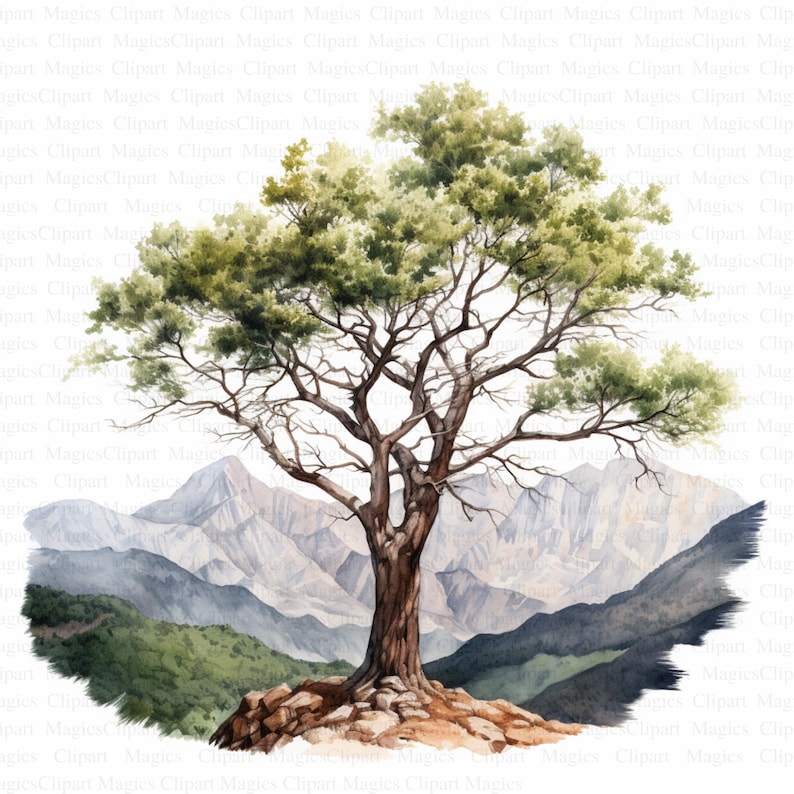 Tree Clipart | 5 High Quality Jpgs | Digital Download | Tree ...