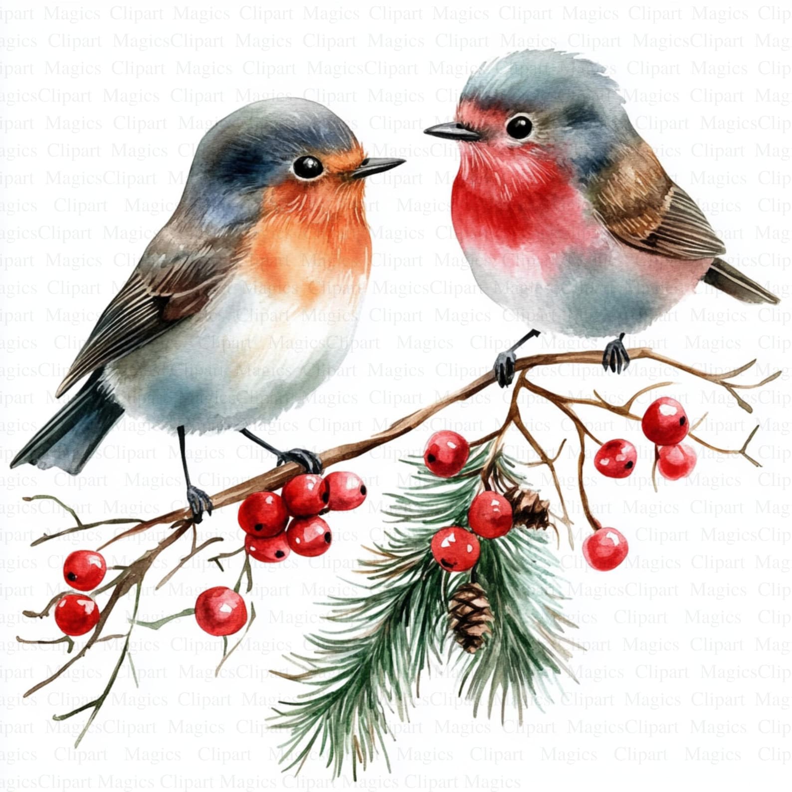 Various Christmas Birds Clipart Robin 5 High Quality Jpgs ...