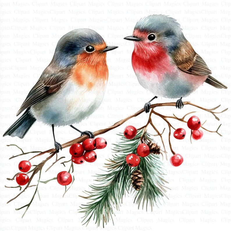 Various Christmas Birds Clipart | Robin | 5 High Quality Jpgs | Digital ...