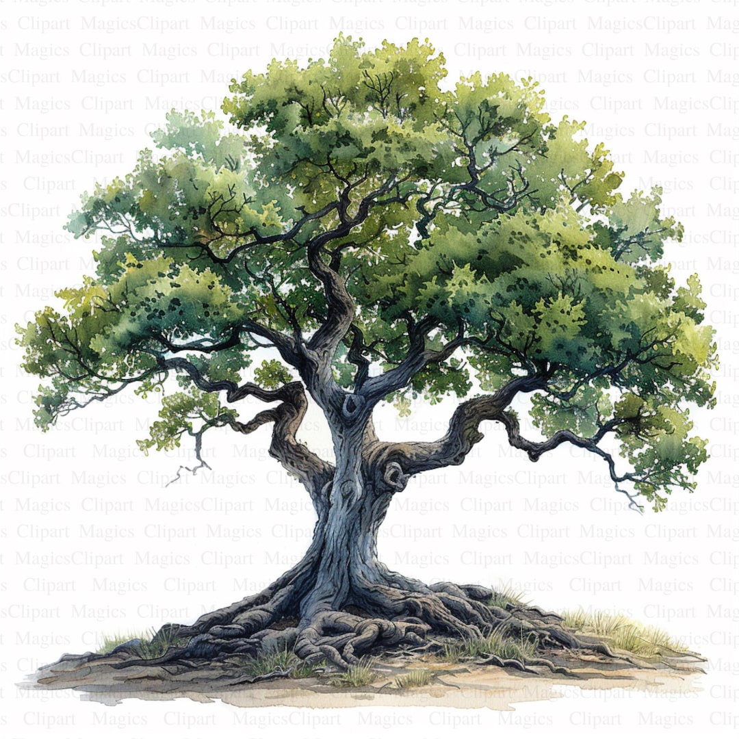 Oak Trees Clipart | 5 High Quality Jpgs | Digital Download | Card ...
