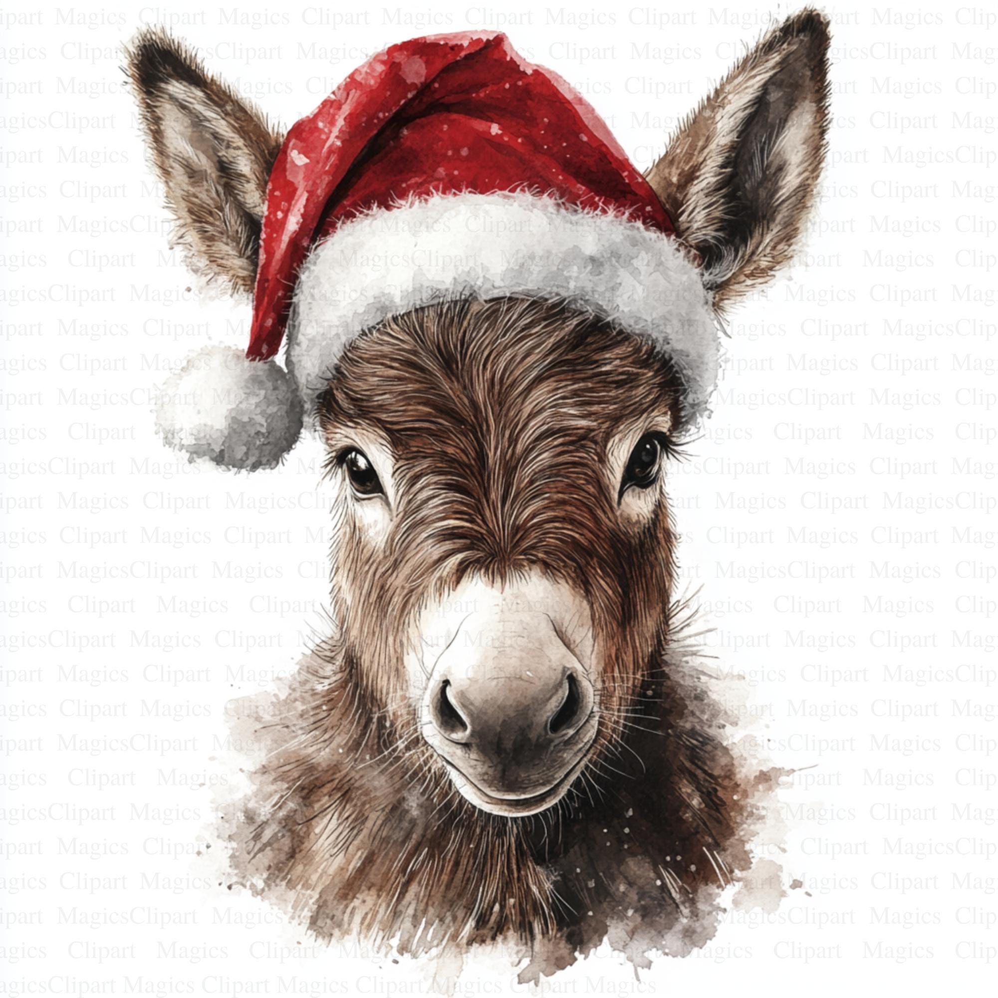 Donkey With Santa Hat Clipart 5 High Quality Jpgs Digital Download ...