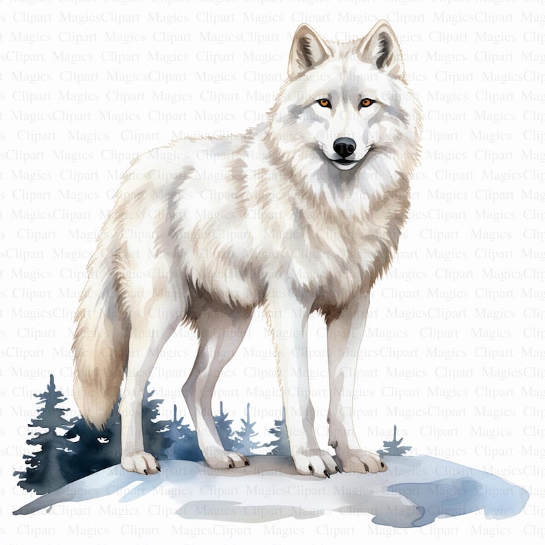White Wolf Clipart 5 High Quality Jpgs Digitaldownload Card Making ...