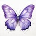 Purple Butterflies Clipart | 5 High Quality Jpgs | Digital Download ...