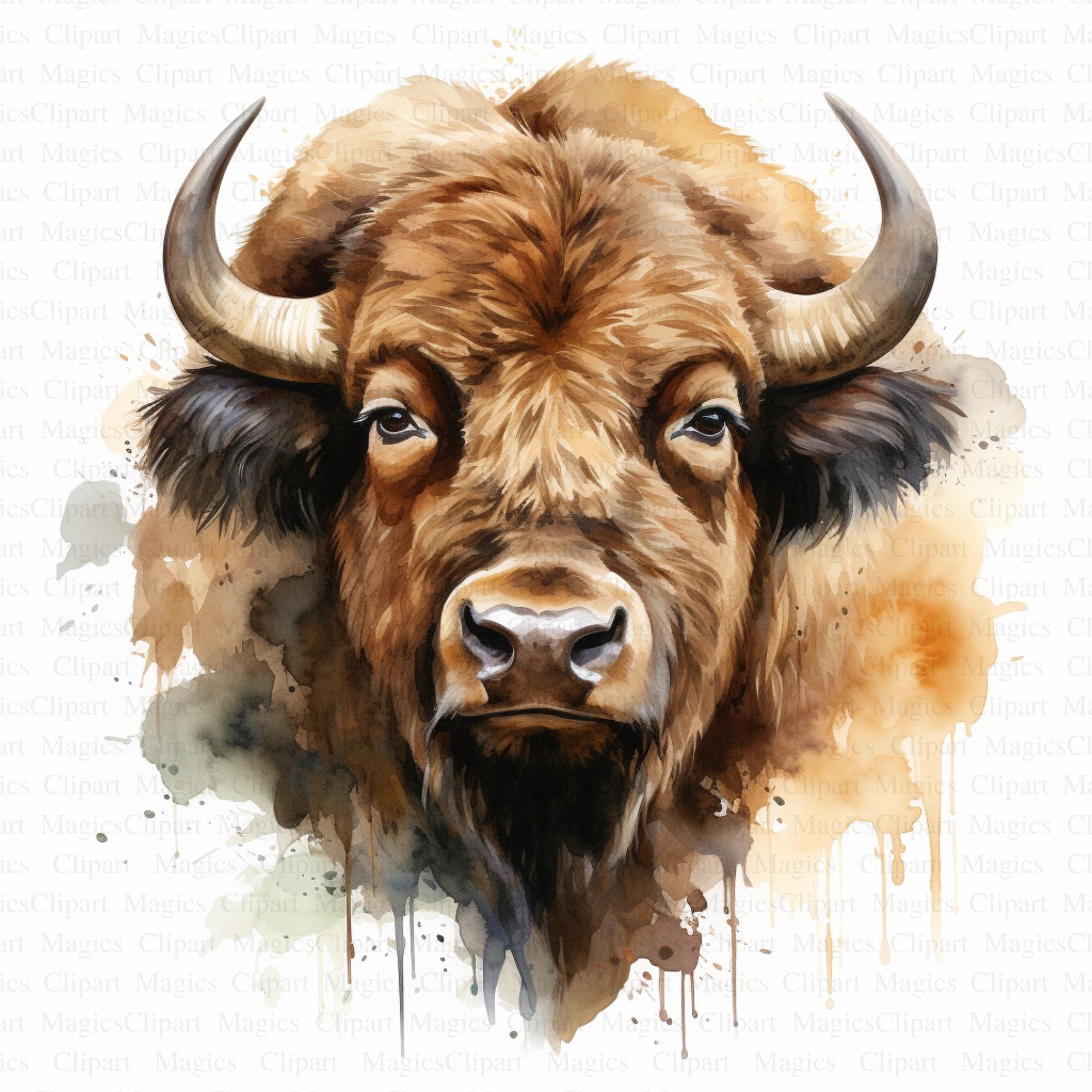 Buffalo Clipart | 5 High Quality Jpgs | Digital Download | Digital ...