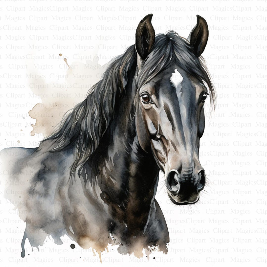Black Horse Watercolor Clipart | Nursery Art (digital Download) - Etsy