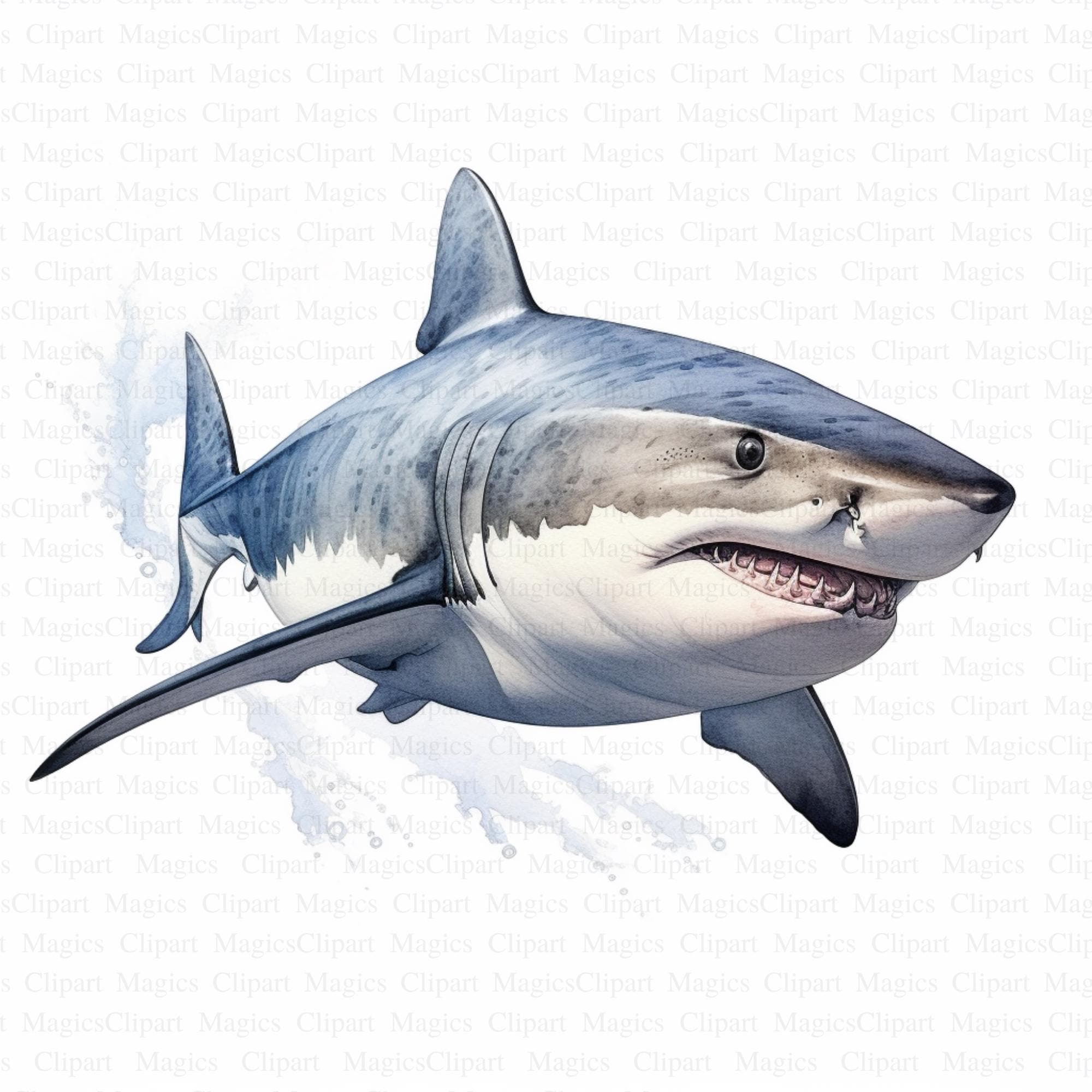 Shark Clipart | 5 High Quality Jpgs | Nursery Art | Instant Digital ...