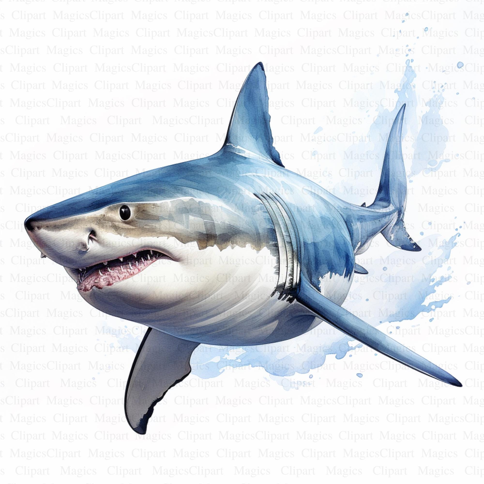 Shark Clipart | 5 High Quality Jpgs | Nursery Art | Instant Digital ...