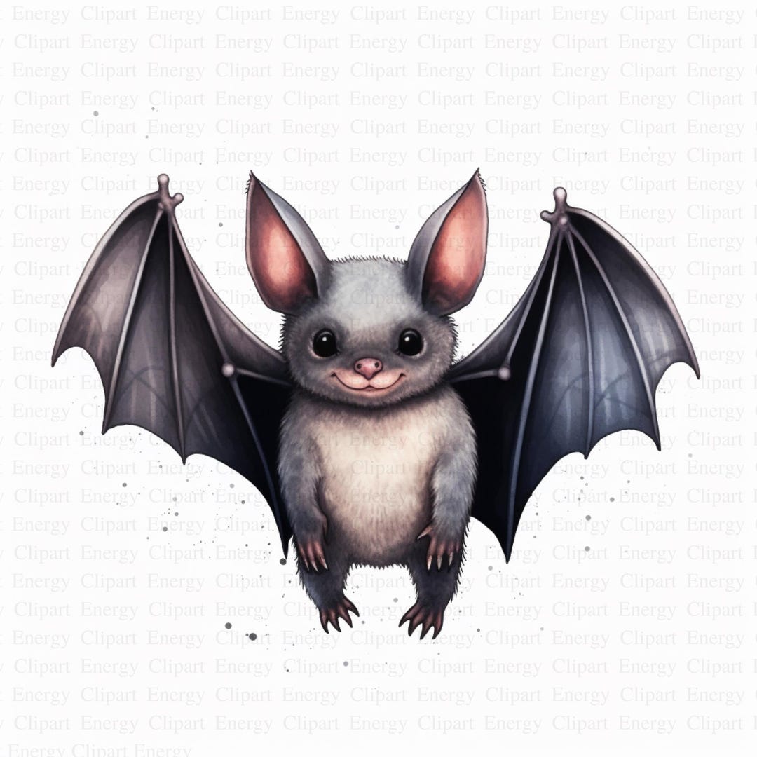 Bat Clipart 5 High Quality Jpgs Instant Digital Download Scrapbooking ...