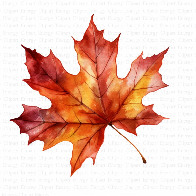 Fall Leaves Clipart | 5 High Quality Jpgs | Digital Download | Fall ...