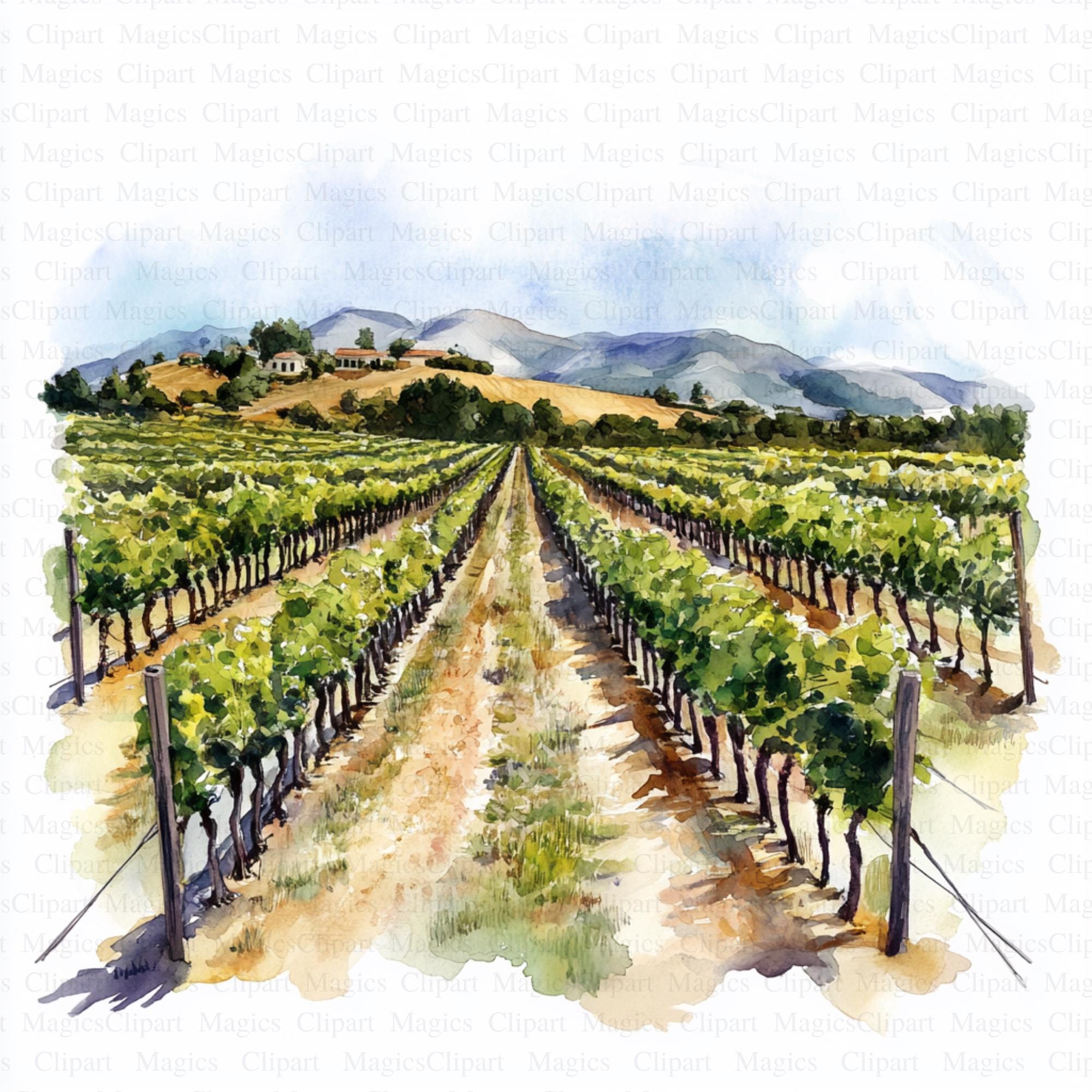 Watercolor Vineyard Clipart | Farm Landscape Art (digital Download) - Etsy