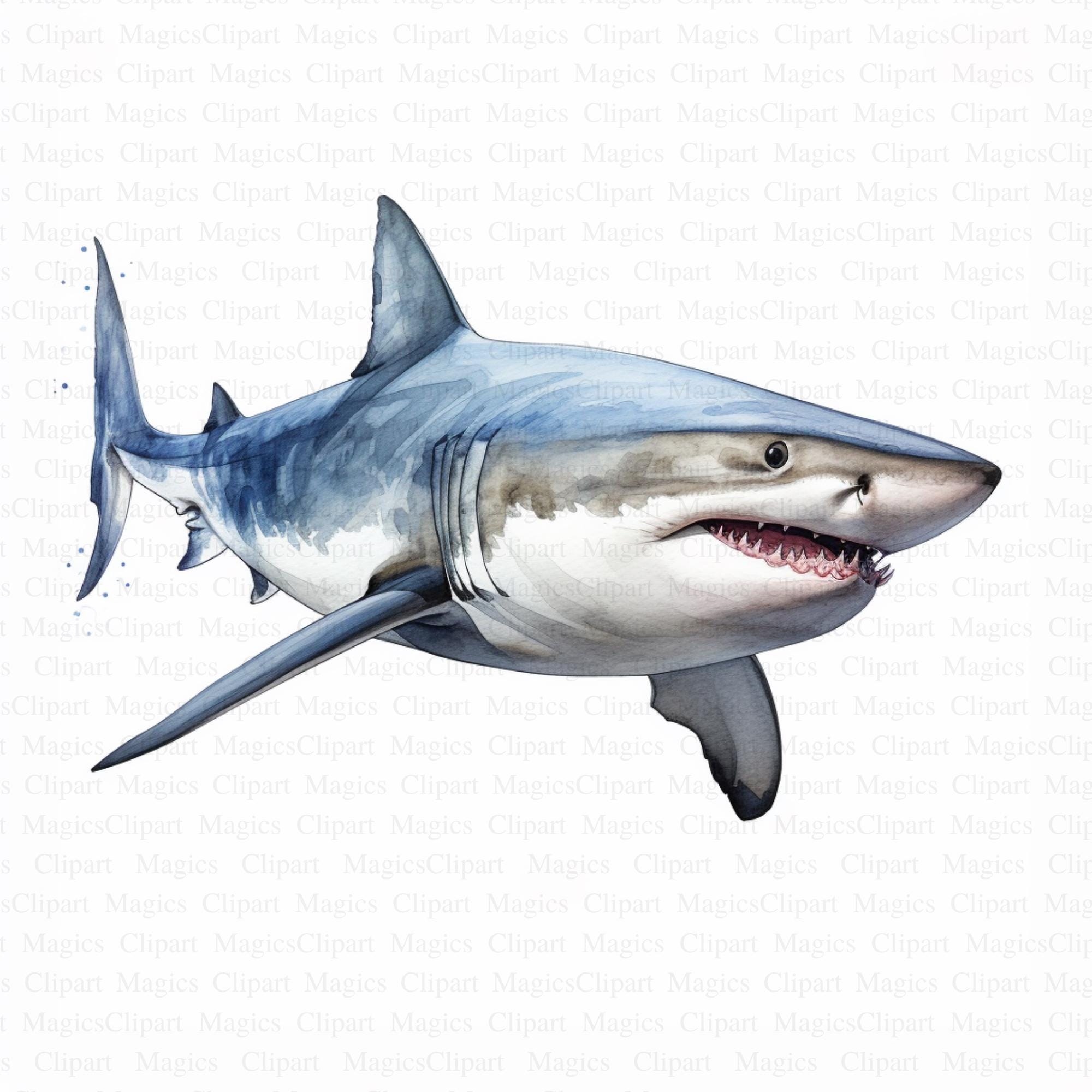 Shark Clipart 5 High Quality Jpgs Nursery Art Instant Digital Download ...