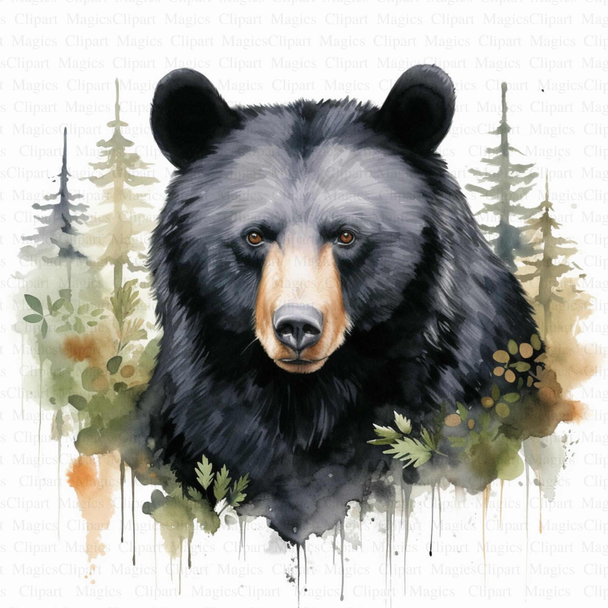 Watercolor Black Bear Clipart 5 High Quality Jpgs Instant Digital ...